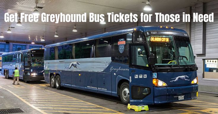 How to Get a Free Bus Ticket Home if You’re Stranded and Homeless